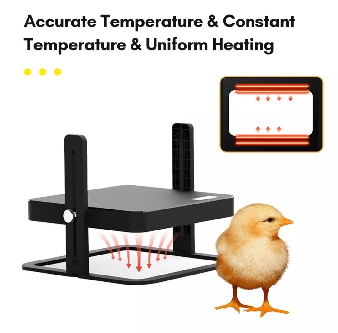 Chicken Brooder Heat Plate Pavilion with Adjustable Height and Angles ...