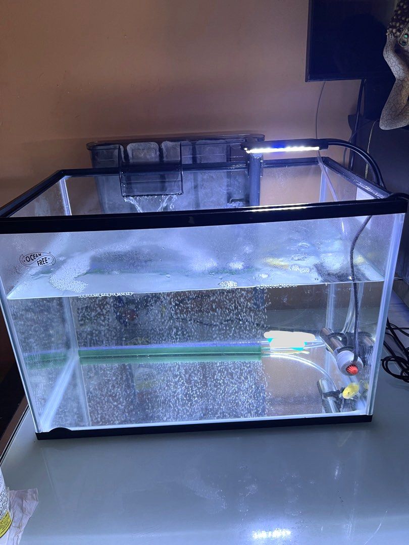 Fish tank complete set, Pet Supplies, Homes & Other Pet Accessories on ...