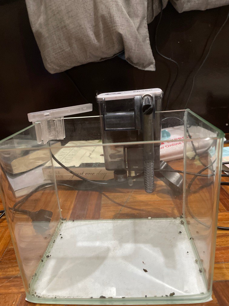 Fish tank set low iron tank + hanging filter, Pet Supplies, Homes ...