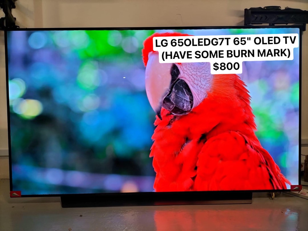 LG 65OLEDG7T 65" OLED TV (HAVE SOME BURN MARK) Condition: 7/10 Delivery ...