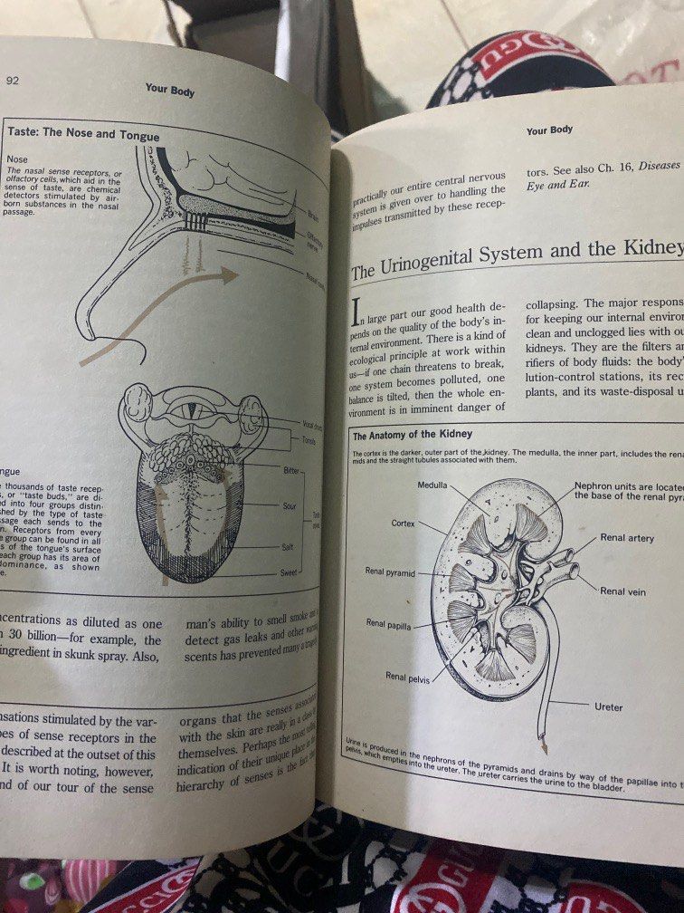 New Complete Medical and Health Encyclopedia, Hobbies & Toys, Books ...
