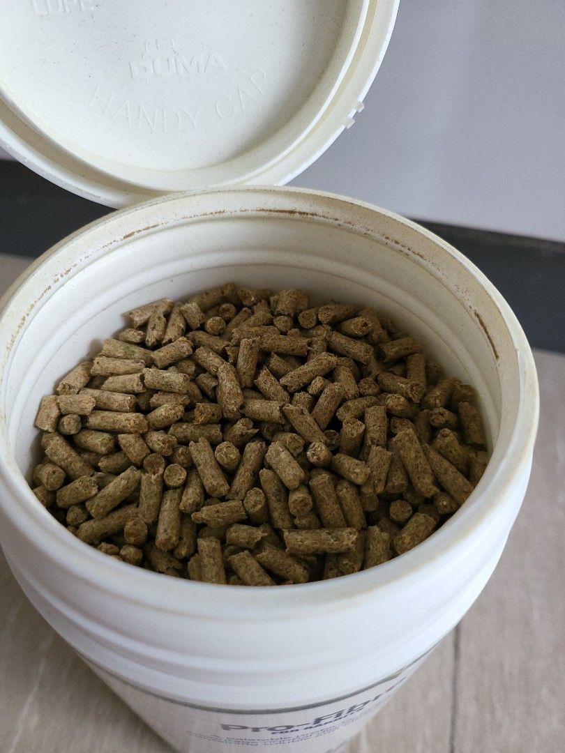 Protexin Pro-Fibre pellet for rabbits, Pet Supplies, Pet Food on Carousell