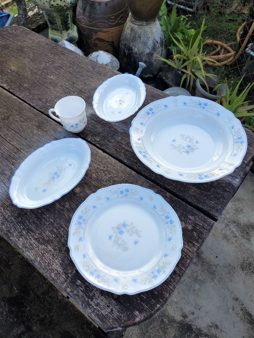 Set Pinggan Arcopal France Bulat Dan Bujur Vintage, Furniture & Home ...