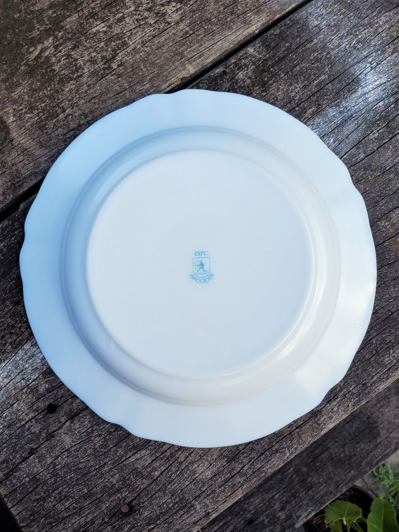 Set Pinggan Arcopal France Bulat Dan Bujur Vintage, Furniture & Home ...