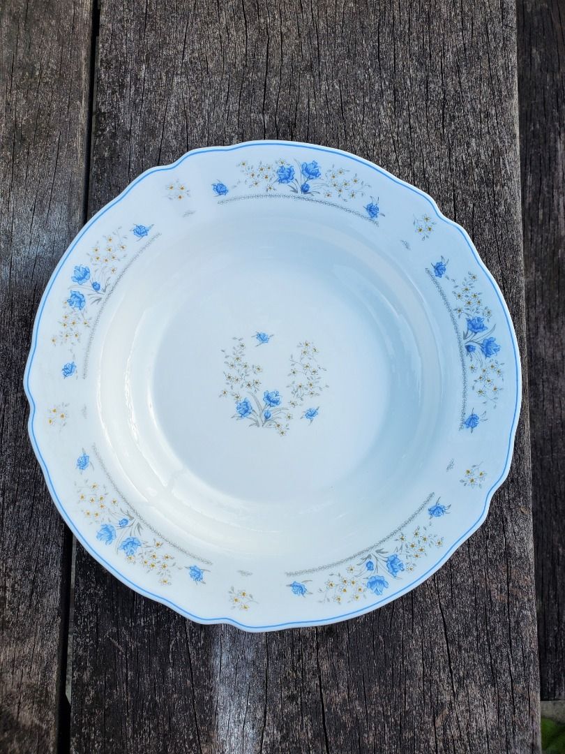 Set Pinggan Arcopal France Bulat Dan Bujur Vintage, Furniture & Home ...