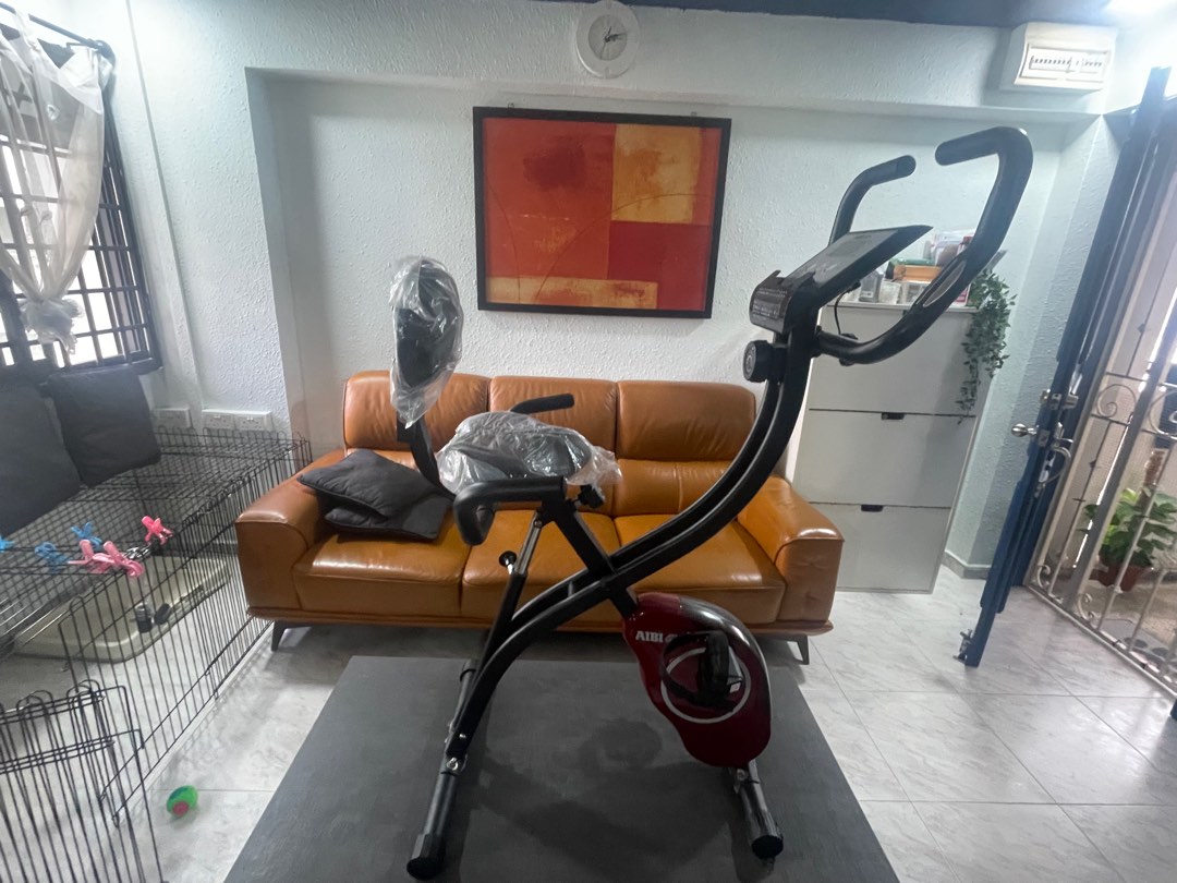 AIBI Exercise cycle, Sports Equipment, Exercise & Fitness, Cardio ...