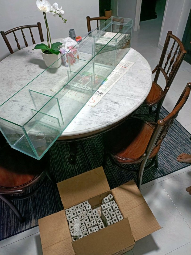 3ft, 4ft , 5ft & 6ft Aquarium Overhead Sump Filter, Pet Supplies, Homes ...