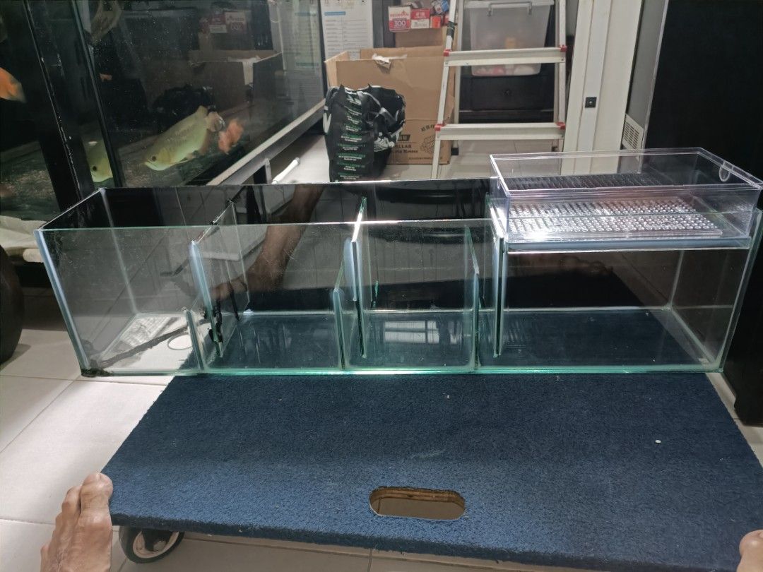 3ft, 4ft & 5ft Aquarium Overhead Sump Filter, Pet Supplies, Homes ...