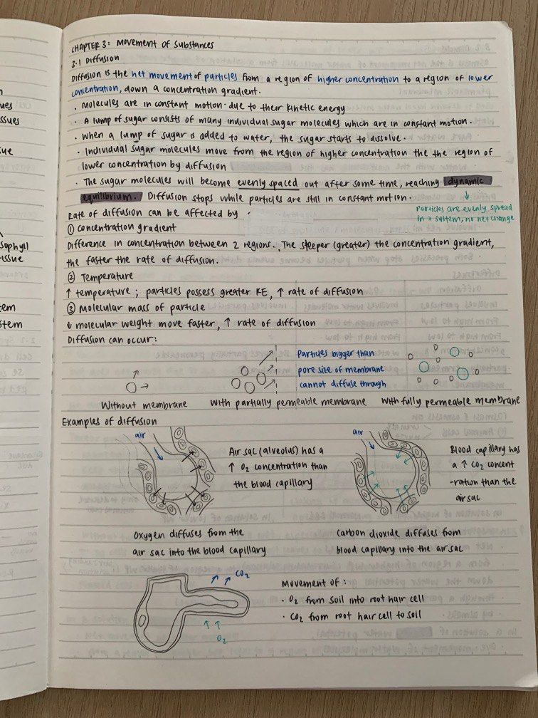 Biology Notes for Sec 3-4 Students, Hobbies & Toys, Books & Magazines ...