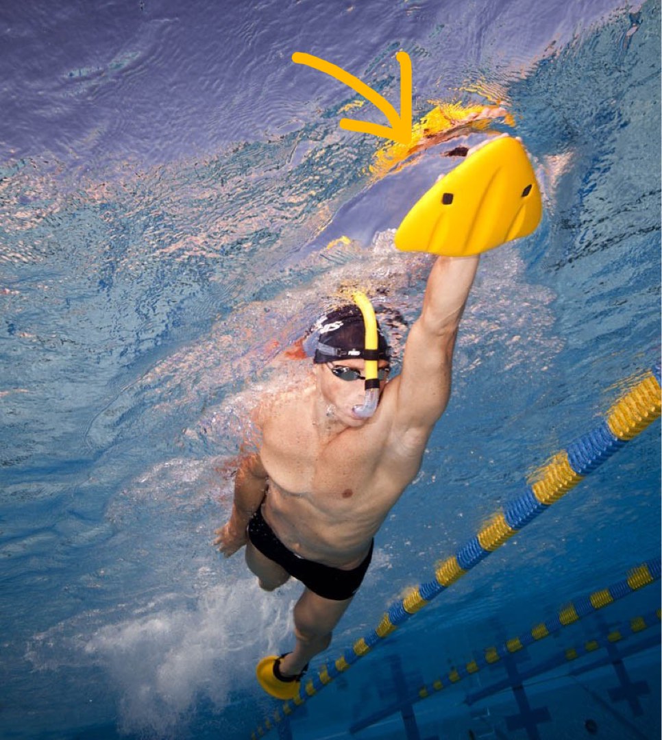 Finis Alignment Kickboard, 運動產品, 運動與體育, 運動與體育 - 水上活動 - Carousell