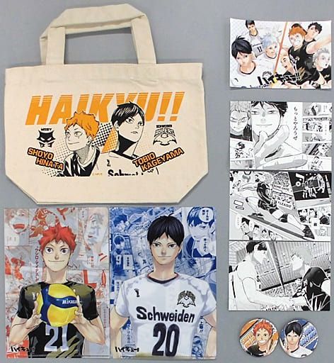 Haikyuu!! Rival Set Shoyo Hinata (BJ) & Tobio Kageyama (AD), Hobbies ...