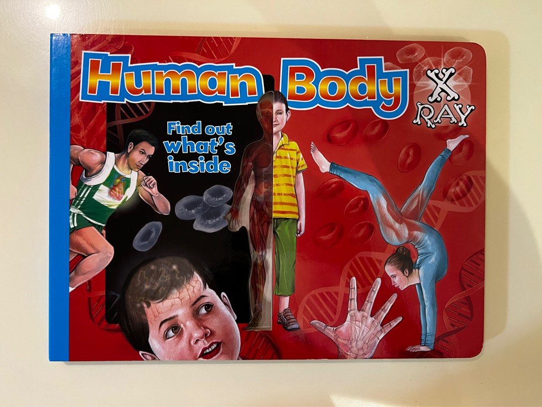 Human Body X-ray Book, Hobbies & Toys, Books & Magazines, Children's ...
