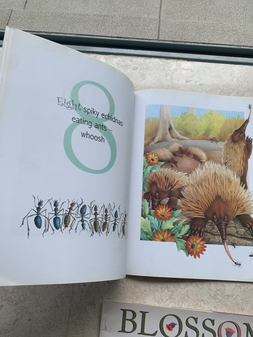 Mem Fox Books Classics Stories for Kids, Hobbies & Toys, Books ...