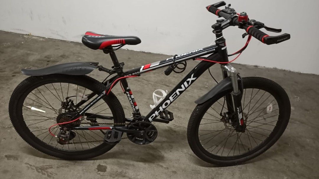 Phoenix Bicycle, Sports Equipment, Bicycles & Parts, Bicycles on Carousell