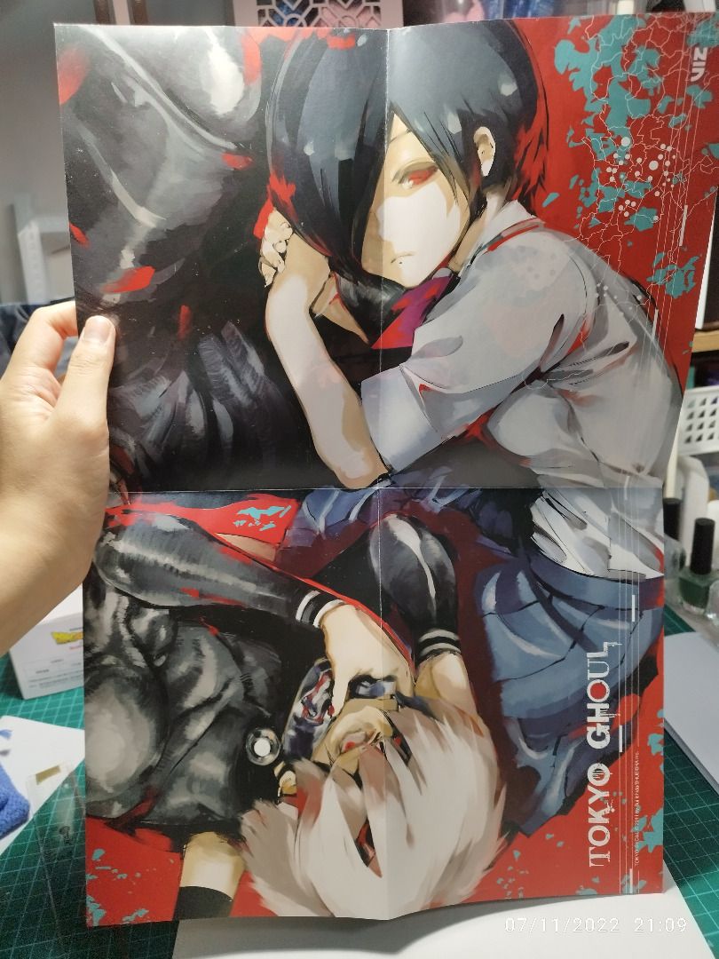 Tokyo Ghoul Manga Box Set Includes Poster!, Hobbies & Toys, Books ...
