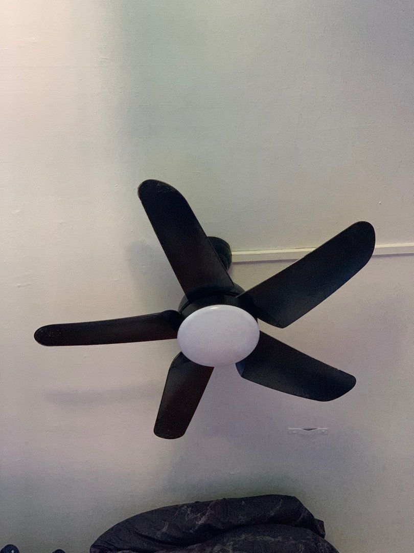 Daiko Ceiling Fan, Furniture & Home Living, Lighting & Fans, Fans on ...
