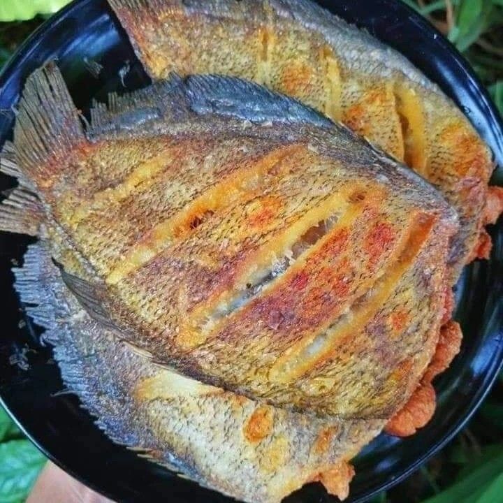 Ikan sepat bertelur, Food & Drinks, Chilled & Frozen Food on Carousell