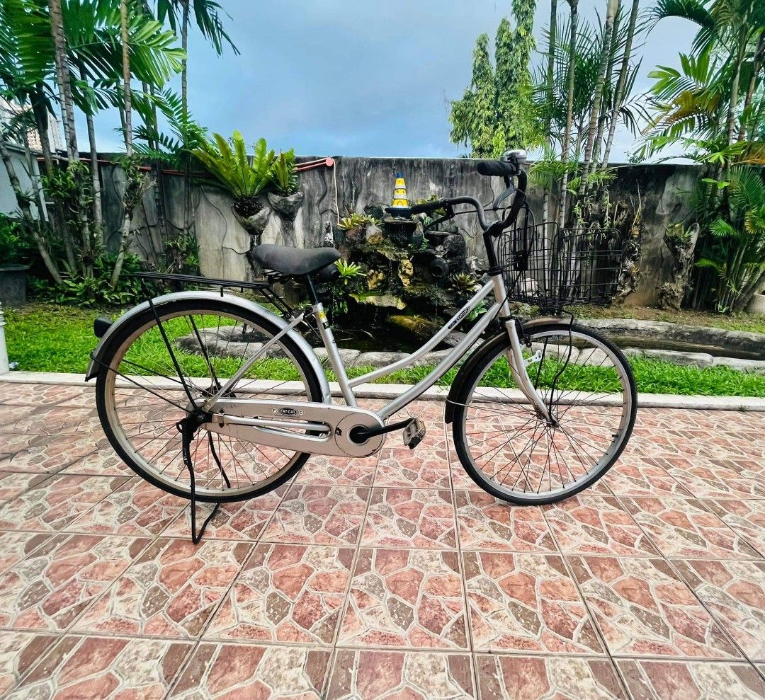 Japan Bike Fat Cat Mamachari Silver, Sports Equipment, Bicycles & Parts ...