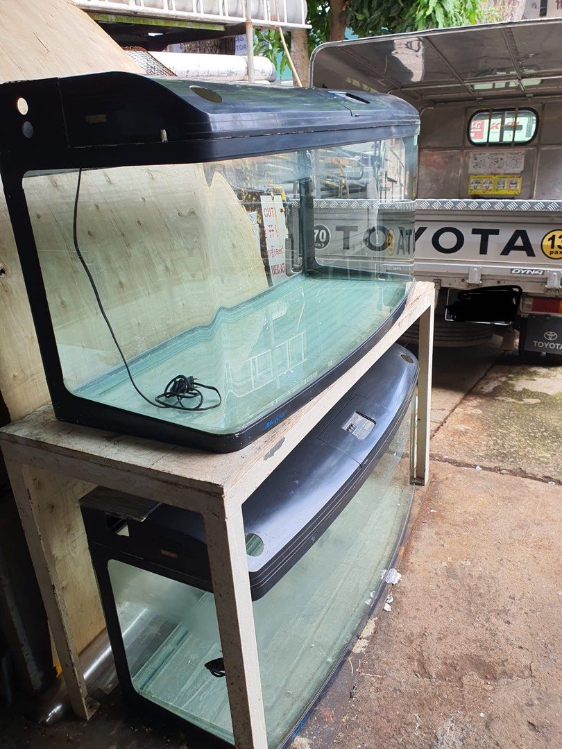 Jebo arowana fish tank aquarium 4ft x 1.5ft tank, Pet Supplies, Homes ...