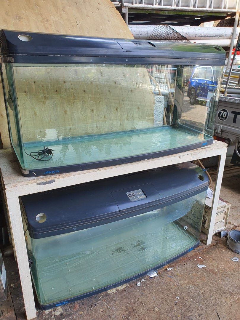 Jebo arowana fish tank aquarium 4ft x 1.5ft tank, Pet Supplies, Homes ...