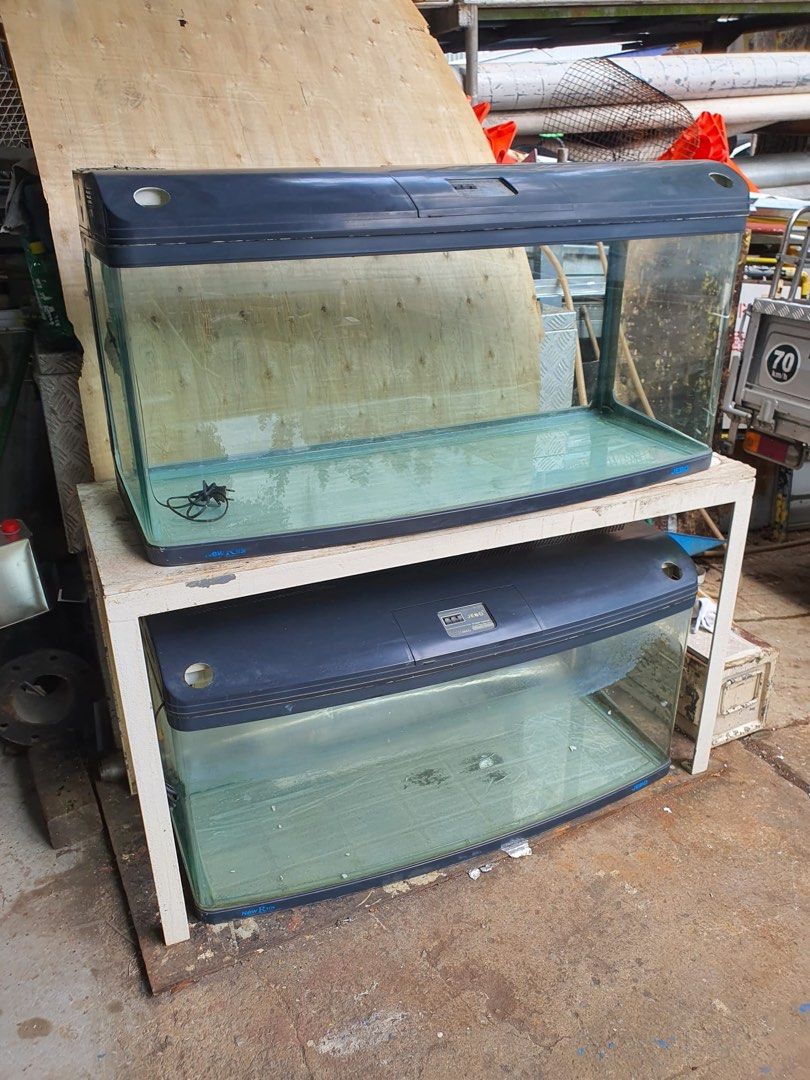 Jebo arowana fish tank aquarium 4ft x 1.5ft tank, Pet Supplies, Homes ...