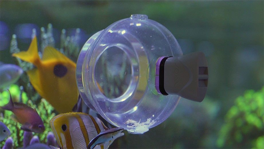 Nyos Fish Trap Aquarium Tank, Pet Supplies, Homes & Other Pet ...