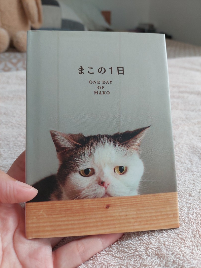 One Day of Mako Japanese mini cat book, Hobbies & Toys, Books ...