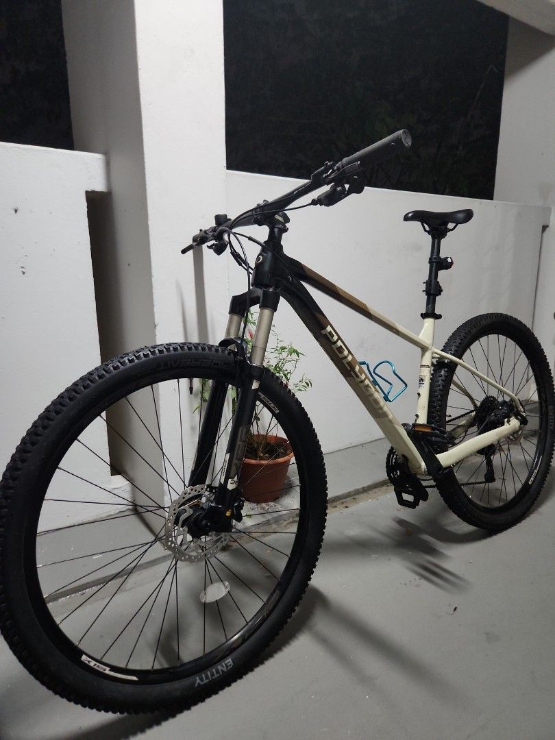 Polygon Xtrada 6 /29er/L size(rare), Sports Equipment, Bicycles & Parts, Bicycles on Carousell
