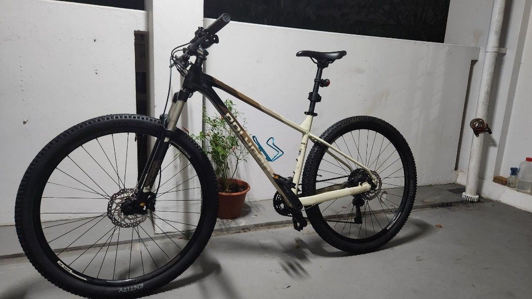 Polygon Xtrada 6 /29er/L size(rare), Sports Equipment, Bicycles & Parts ...