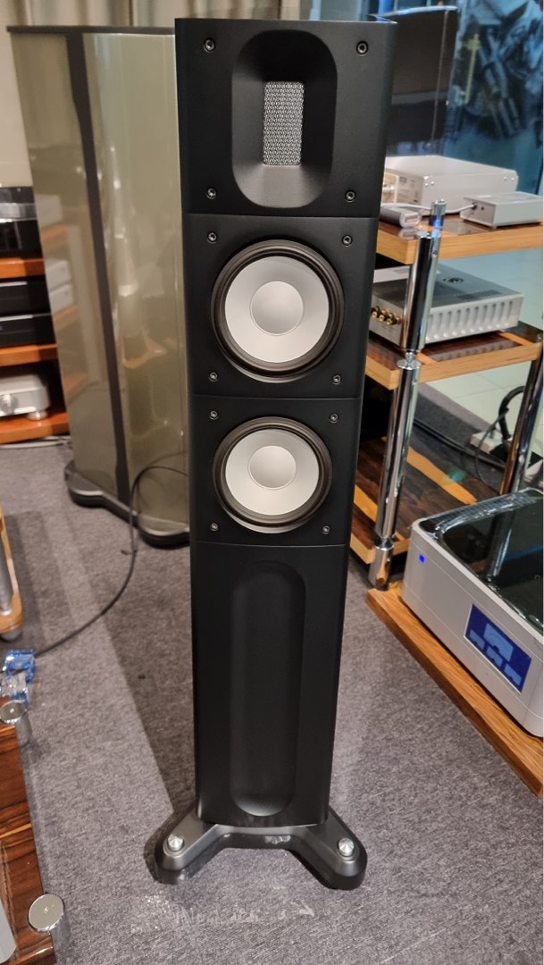 Raidho C-2.2 Loudspeaker, Audio, Other Audio Equipment on Carousell