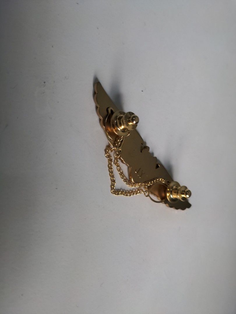 RSAF Air Force Badge GBAD AWO, Hobbies & Toys, Memorabilia ...