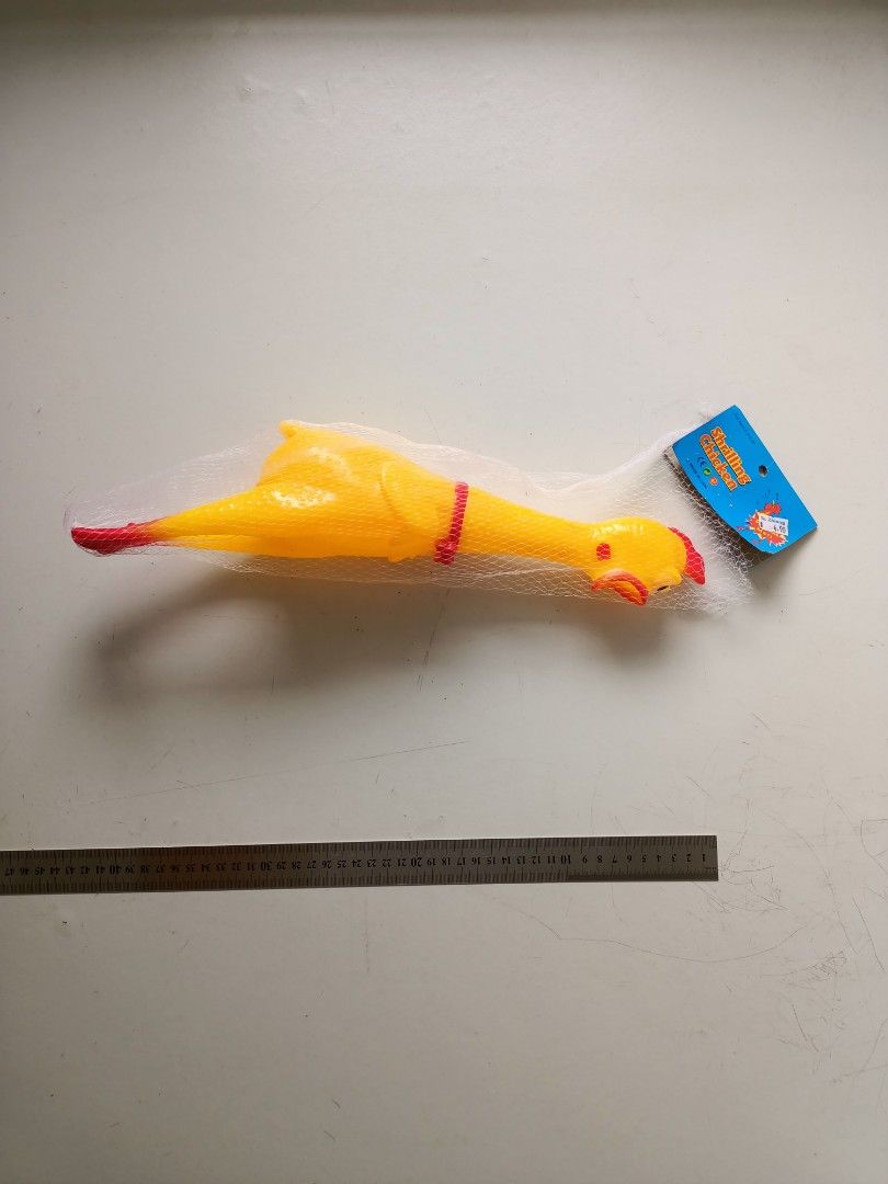 Shrilling chicken, Hobbies & Toys, Toys & Games on Carousell