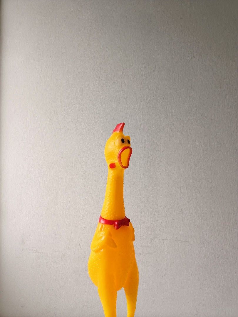 Shrilling chicken, Hobbies & Toys, Toys & Games on Carousell