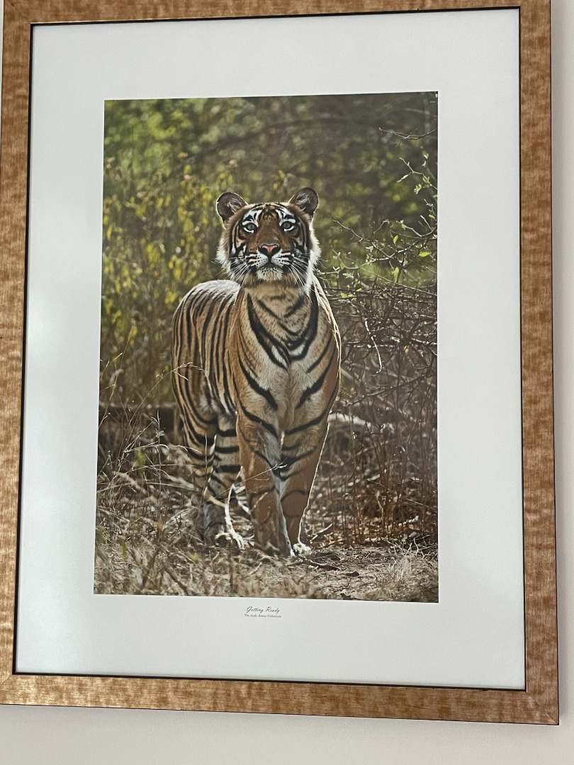 2 Andy Rouse images - framed, Furniture & Home Living, Home Decor ...