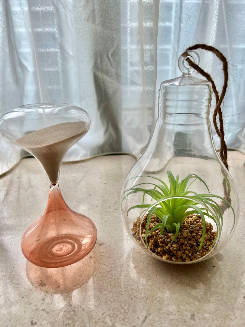 Hooga decorations, Furniture & Home Living, Home Decor, Vases ...