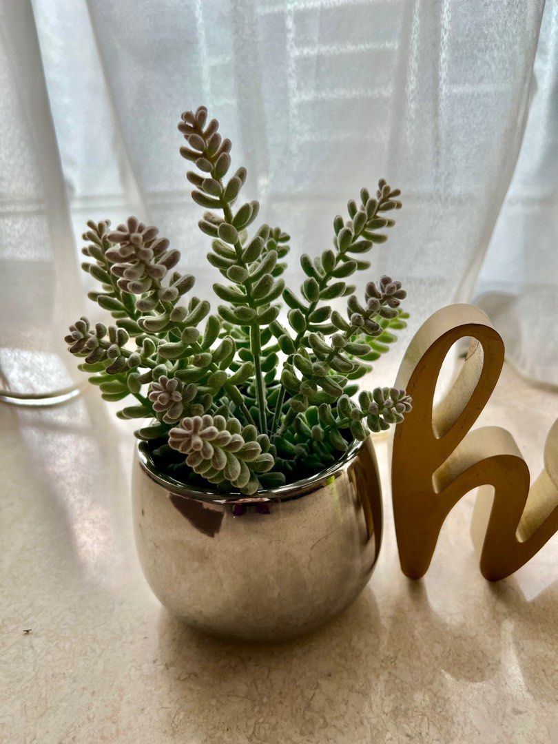 Hooga decorations, Furniture & Home Living, Home Decor, Vases ...