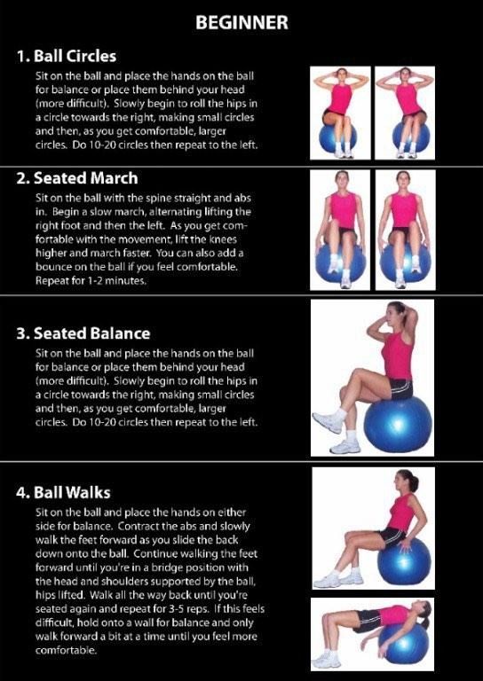 Kettler Deluxe Exercise Ball 65CM with Air Pump and Exercise Poster ...