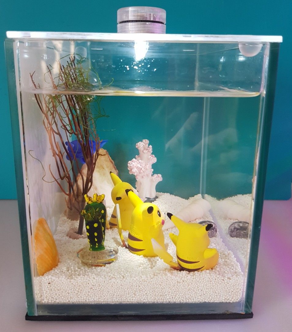 Opae Ula Home setup (Pokemons), Pet Supplies, Homes & Other Pet Accessories on Carousell