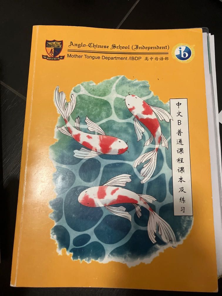 ACSI IBDP Chinese Y5, Hobbies & Toys, Books & Magazines, Assessment ...