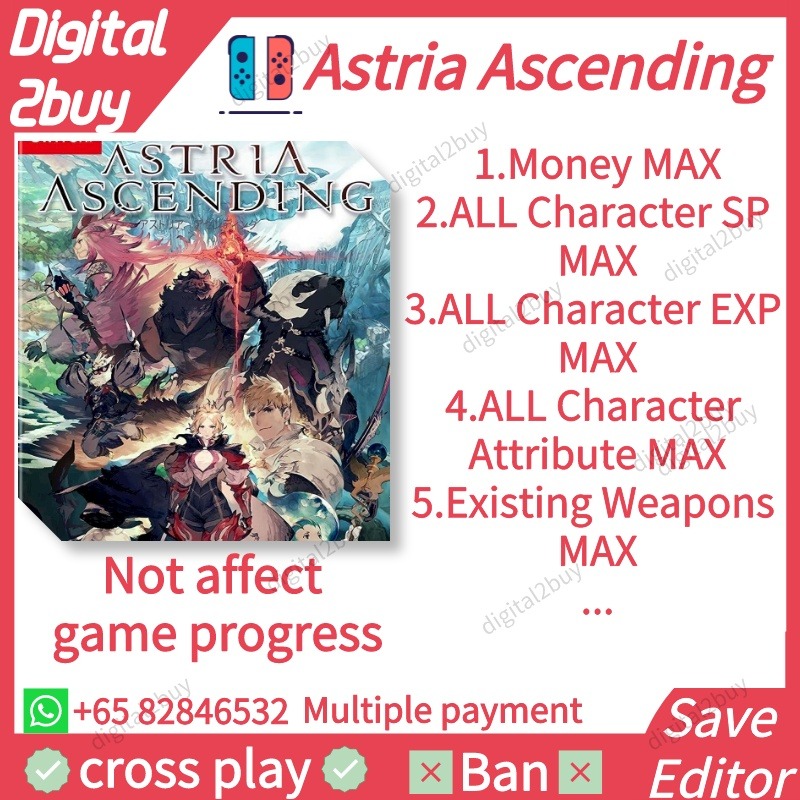 Astria Ascending Save Editor Save Modding Astria Ascending, Video Gaming, Video Games, Nintendo ...