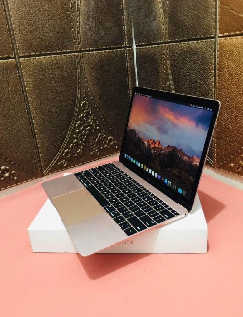 COMPLETE WITH BOX Macbook (Retina, 12-inch, Early 2016) 8 GB 256 SSD Os ...