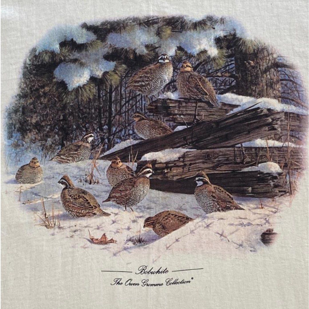 Deadstock 90s Owen Gromme Art 1967 Bobwhites Collection size L, Men's ...