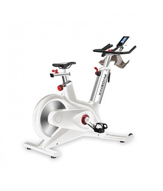 DHZ S300L Pro Spin Bike (Display Set), Sports Equipment, Exercise ...