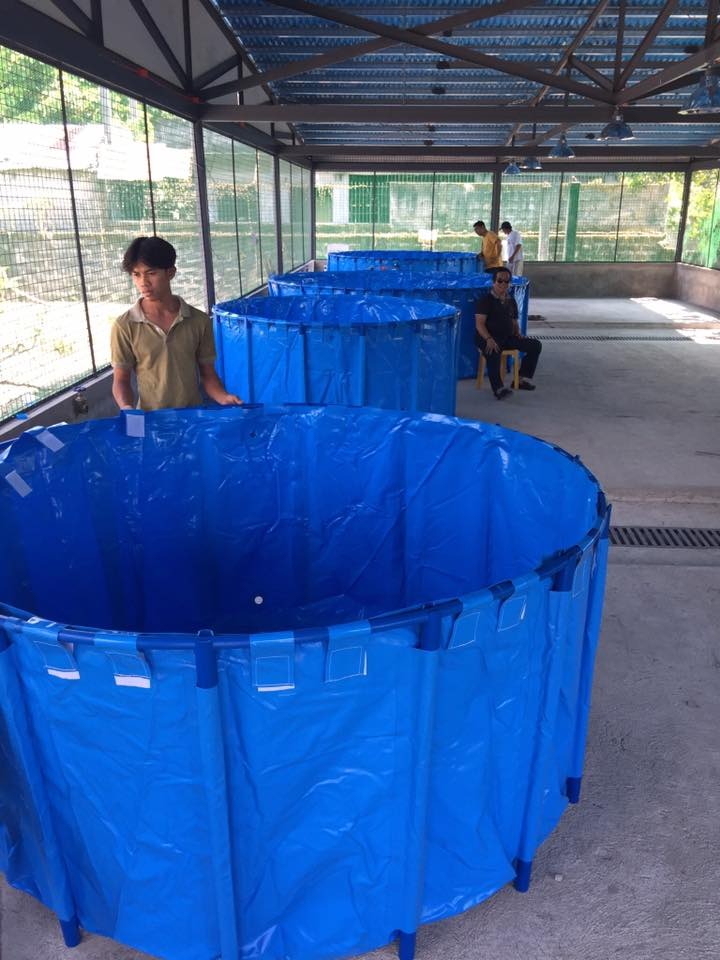 Foldable fish tank, Sports Equipment, Fishing on Carousell