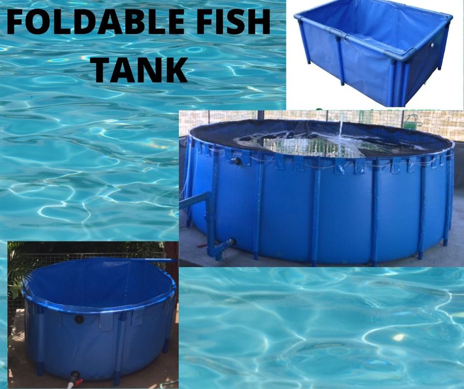 Foldable fish tank, Sports Equipment, Fishing on Carousell