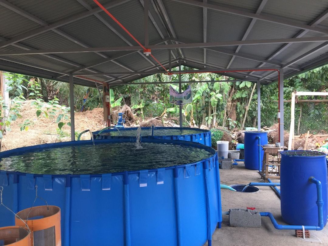 Foldable fish tank, Sports Equipment, Fishing on Carousell