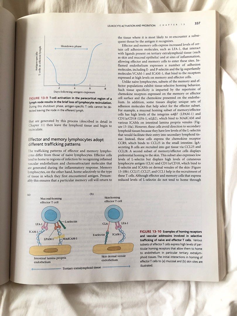 Kuby Immunology (6th ed) - Kindt, Goldsby, Osborne, Hobbies & Toys ...