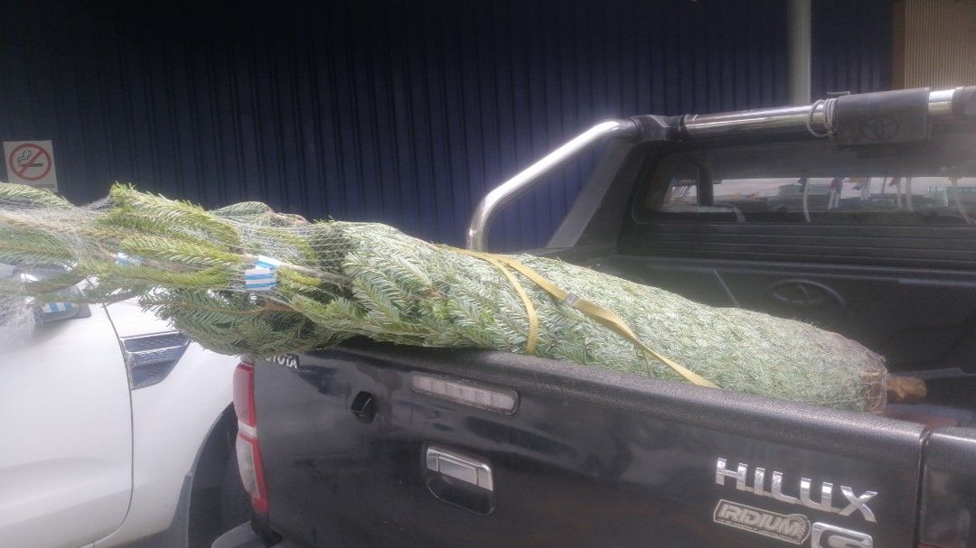 Runner 4x4 angkat barang...., TV & Home Appliances, Kitchen Appliances ...