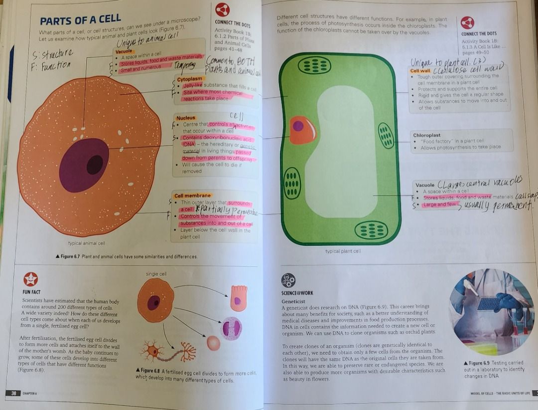 Secondary 1 Science Textbook 1B Express/NA, Hobbies & Toys, Books ...