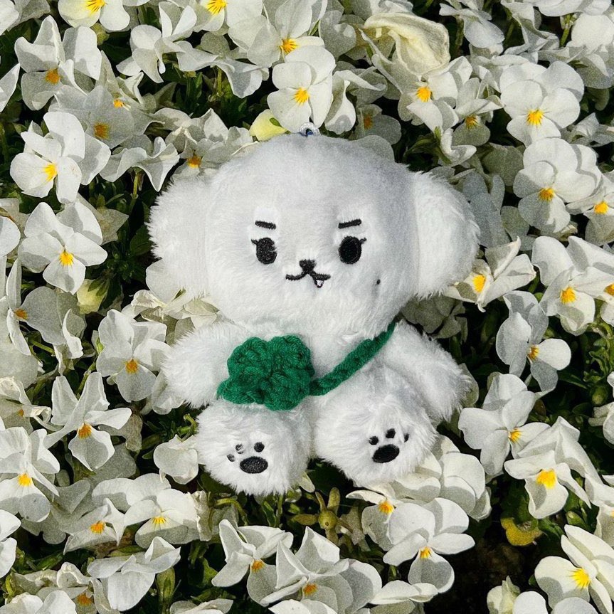 Seventeen SVT Mingyu Bboming 10cm White Puppy Dog Doll by @bbo_mingyu ...